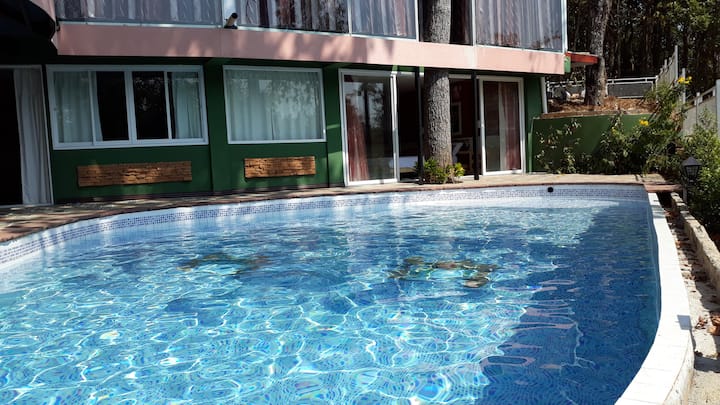 Unique Villa & Private Pool Surrounded By Greenery - Chiang Rai