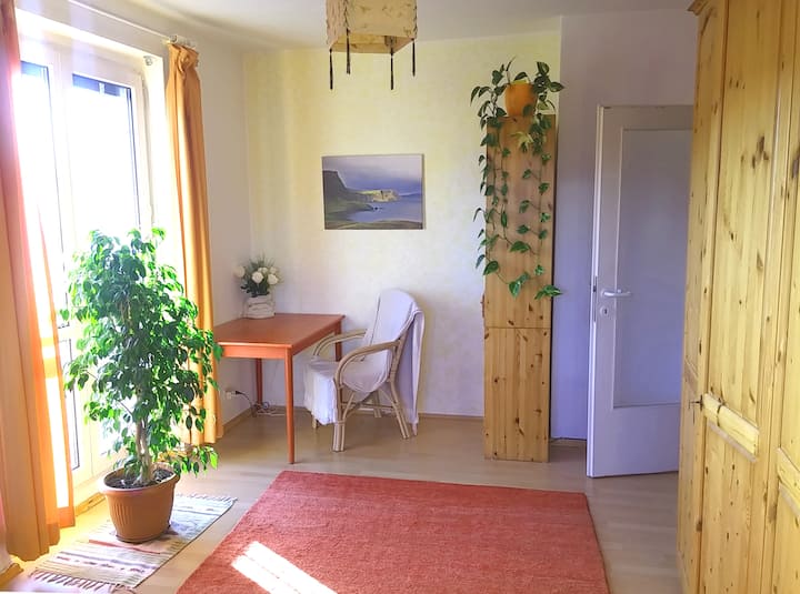 Cosy And Bright Studio Flat In The Center Of Linz - Linz
