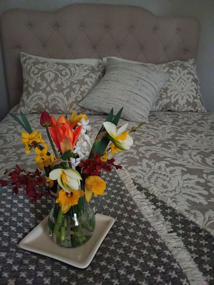 Boa Valley Planter - Peterborough, ON, Canada