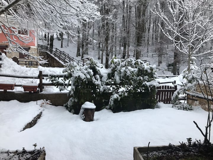 Deliziosa Casa Nel Bosco Con Giardino - Subiaco