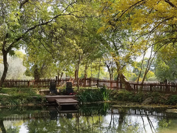 On Golden Pond At Sycamore Springs - Arizona