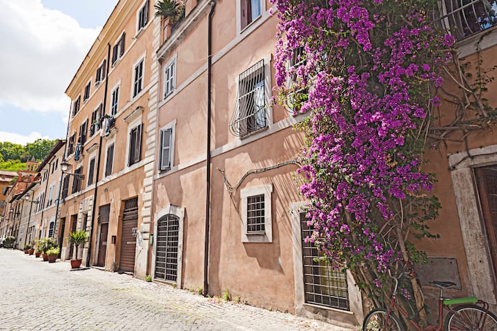 Trastevere / House Of Art - Rome