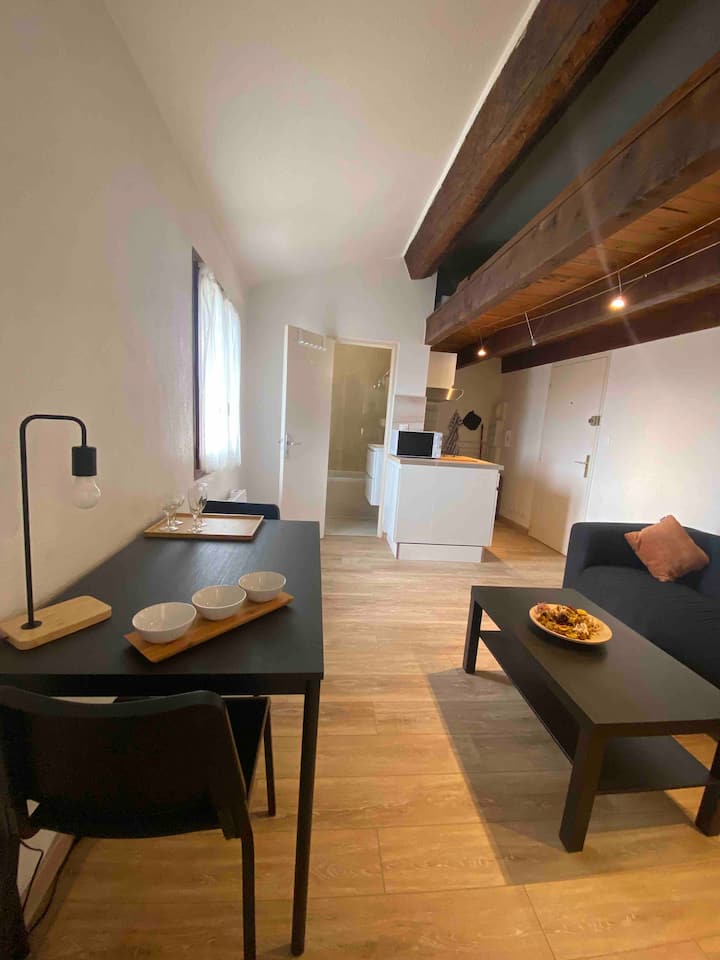 Au Coeur Du Centre Historique - Albert 1er - Montpellier