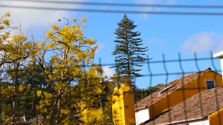 Costa Apartments Floor 2 - Ponta Delgada