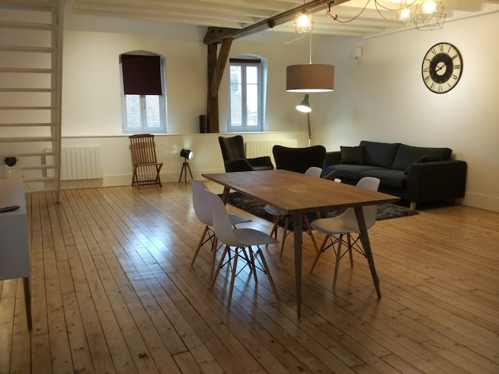 Appartement  " Loft Zola " Dijon Centre Historique - Chenôve