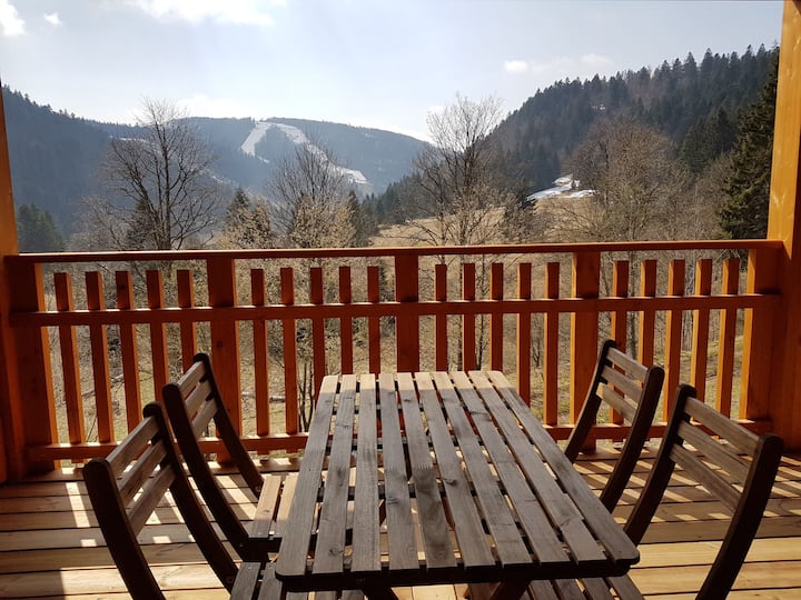 La Bresse, Appt 4 Personnes Aux Pieds Des Pistes - Xonrupt-Longemer