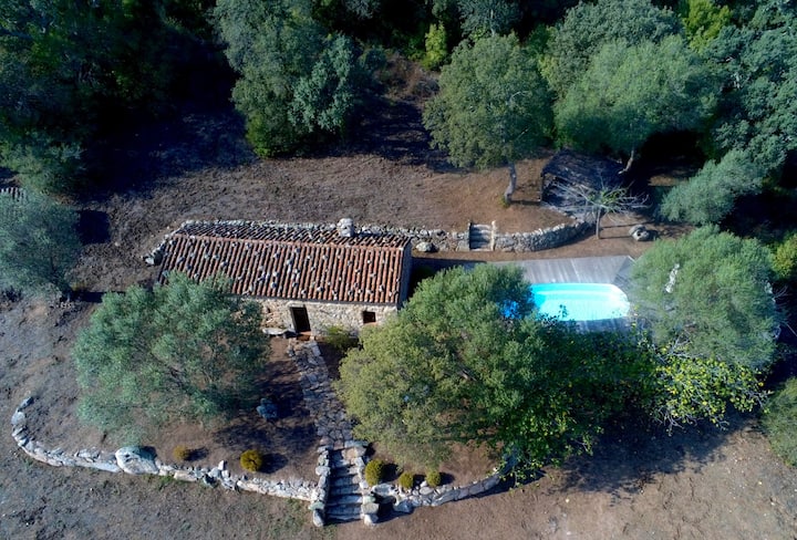 Bergerie 2 Adultes 2 Enfants Avec Piscine Privée - Plage de Palombaggia