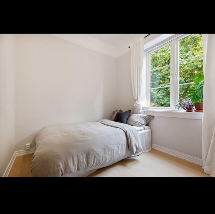Fin Leilighet Sentralt - Oslo