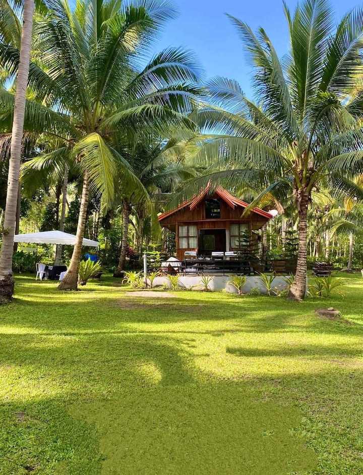 If Youre Looking For Cozy Place To Stay After A Long Tiring Day Exploring The Beautiful Crystal Clear Beaches And Upland Resort Of Dauin, Heres Our Home Away From Home Where You Can Bring Your Whole Family Together And Enjoy Calmness Of The Night. - Dauin