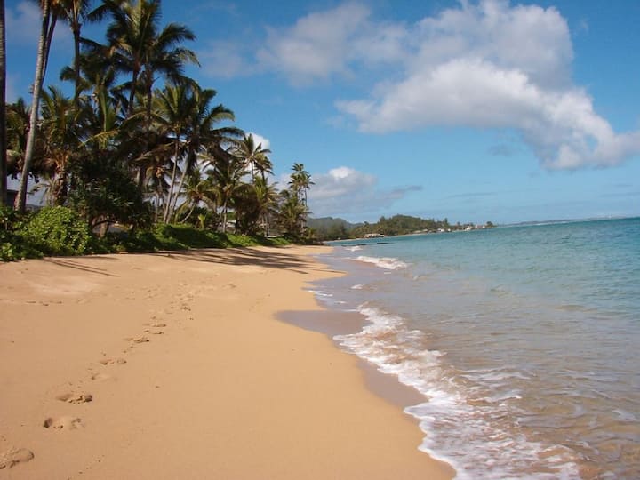 Honu Hale Beachfront Condo! - Laie, HI