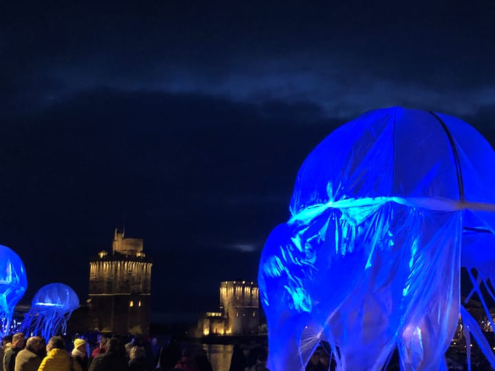 Nid Douillet Plein Centre Ville De La Rochelle - La Rochelle