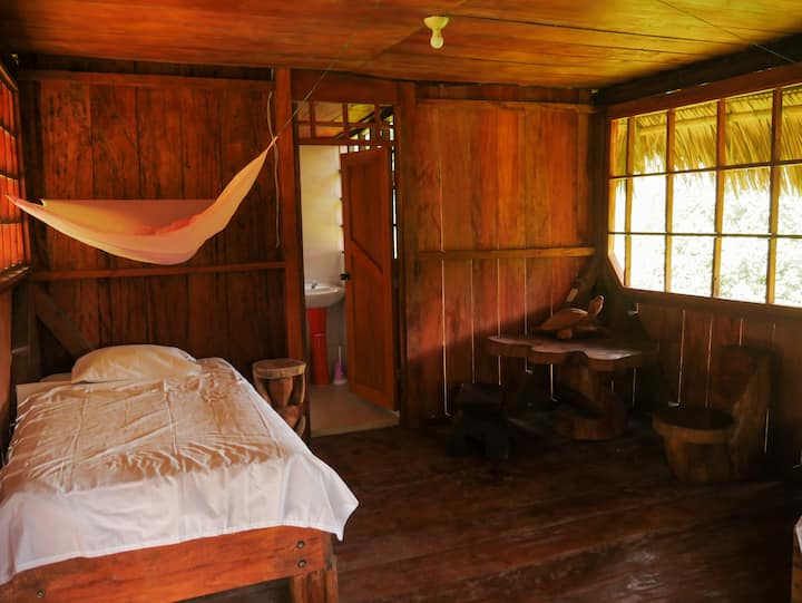 Lodge In Remote Amazon-jungle Adventure & Wildlife - Orellana