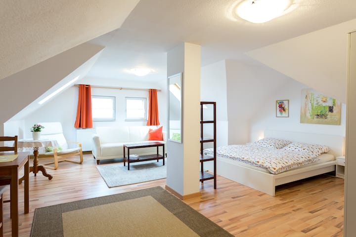 Ferienwohnung Pirna - Gross Und Gemütlich - Pirna