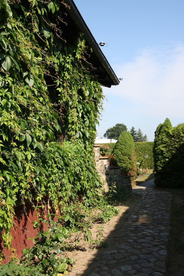 Badesee, Insel, Im Grünen - Lassan