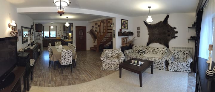 Mountain View Guesthouse - Predeal