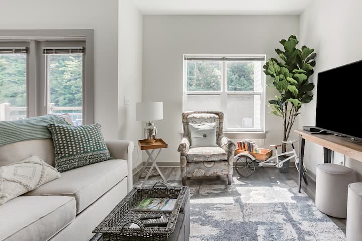 Bright, Brand New, & Steps To Downtown At Condo-nooga - Tennessee Aquarium Conservation Institute