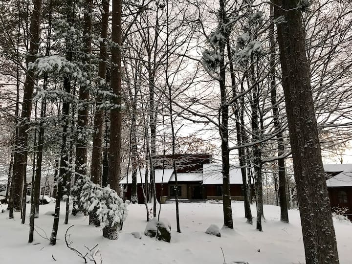 Modern Family Friendly Chalet - Horseshoe Valley, ON