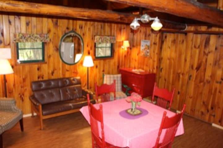 Waterfront Housekeeping Adirondack Cabin W/dock - Saranac Lake, NY