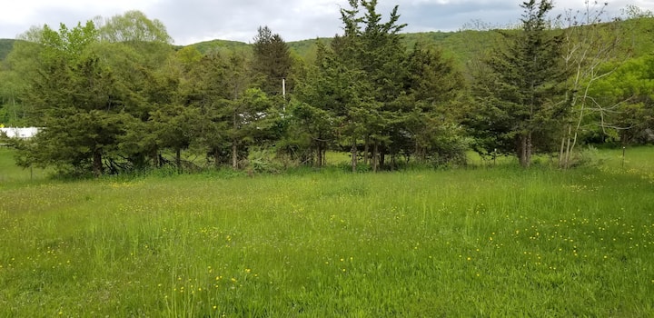 Rv Site Sewer+water+metered Elec - Newburgh, NY
