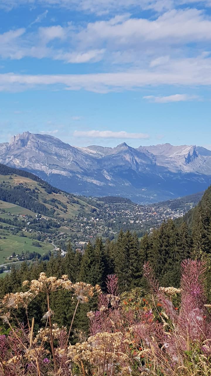 T3 Praz Sur Arly " Megève " 500m Espace Diamant - Cordon