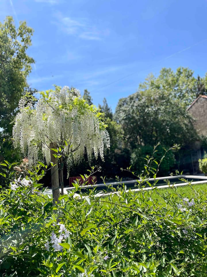 Belle Propriété En Ville Dans Son éCrin De Verdure - La Seyne-sur-Mer