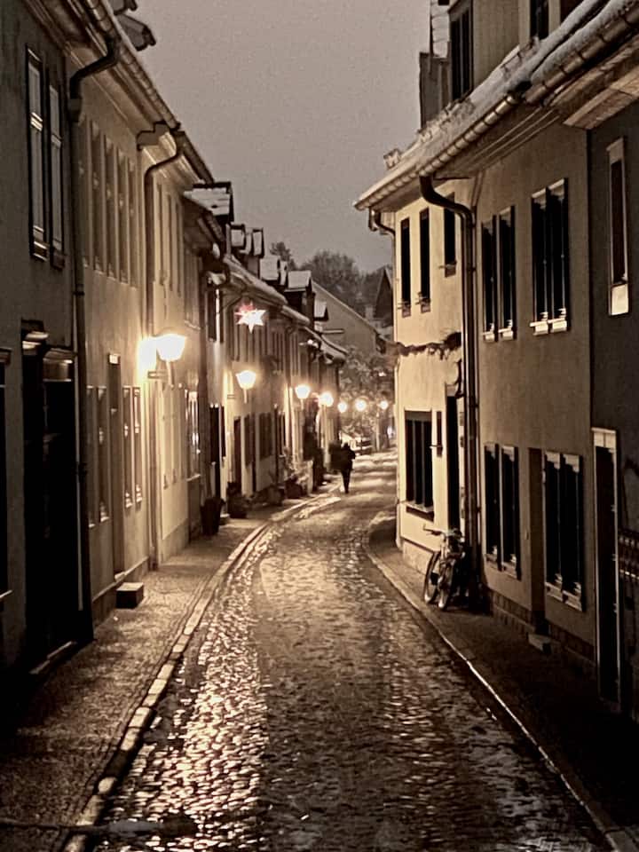 Im Herzen Der Altstadt – Alles Fußläufig! - Erfurt