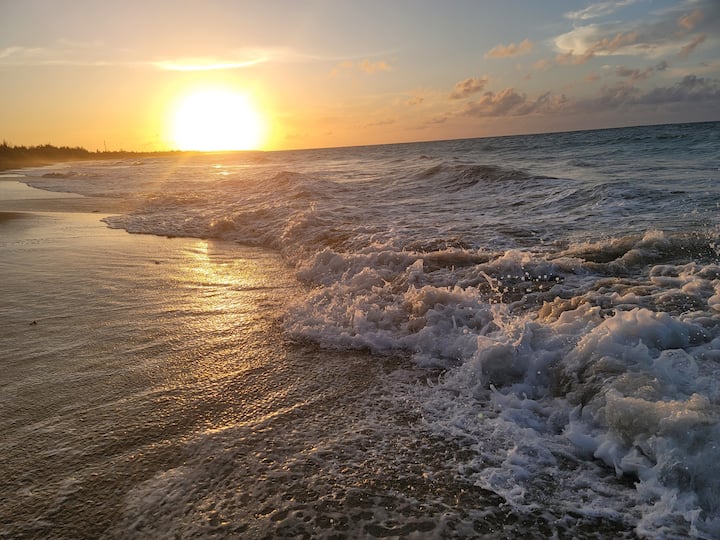 Loíza Vacation Rentals & Homes - Loíza, Puerto Rico | Airbnb