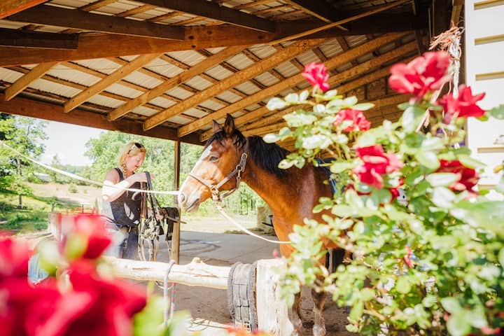 Connect With Nature On Quiet Horse Farm - ノーマン湖, NC