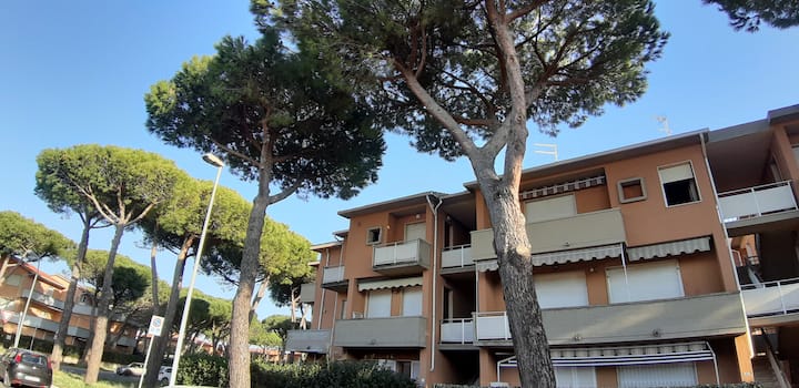 Appartamento Conchiglia A Marina Di Cecina - Cecina