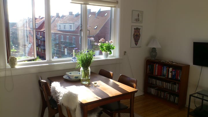 Homely Copenhagen Apartment! - Copenhagen