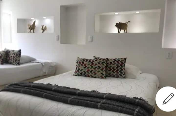 Downtown-loft-metepec - Metepec