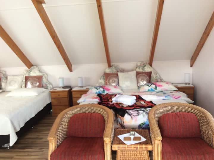 Whitianga, Luxurious Studio - Whitianga