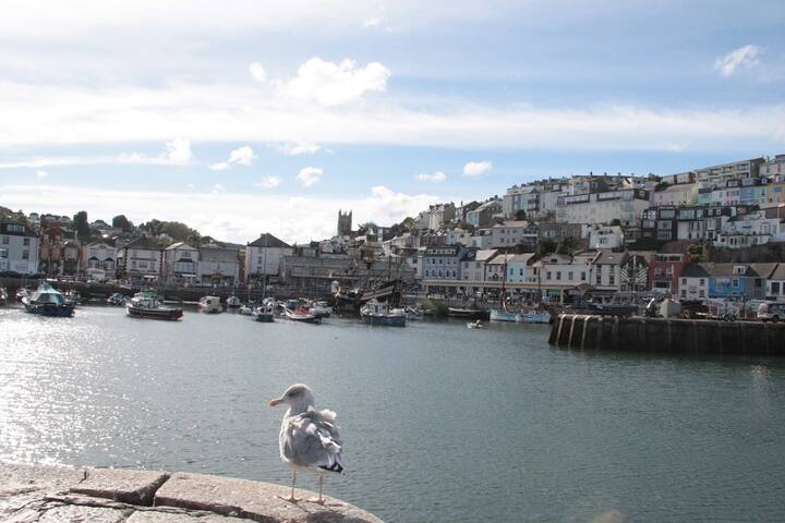 Brixham Holiday Rentals & Homes - England, United Kingdom | Airbnb