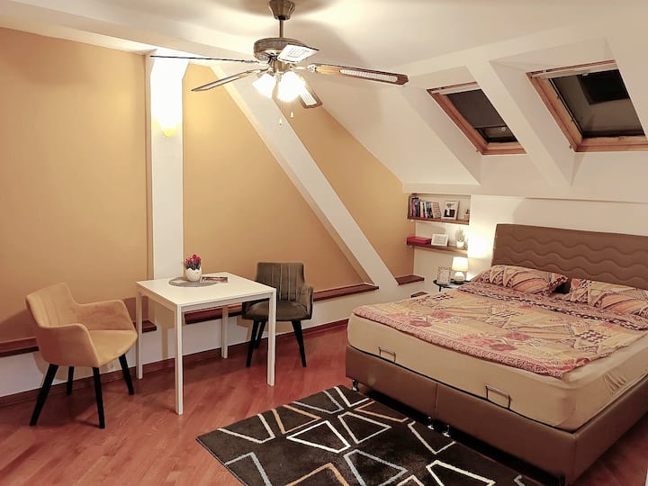 Sunny Apartment In The City Center Of Sarajevo - 사라예보
