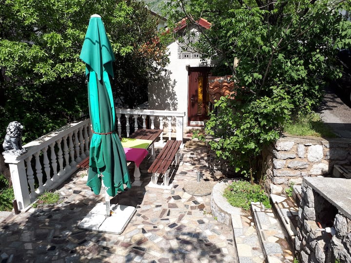 Sasa 1 - Senj