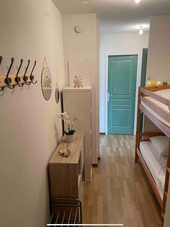 Appartement Aux Pieds Des Pistes - Valmeinier