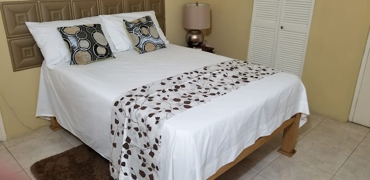 Palms Apartment - Kingston (Jamaica)