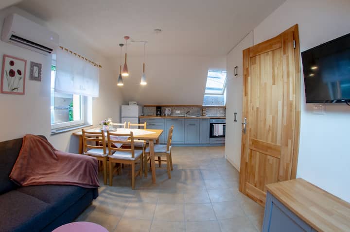 Apartment Laznica 2 & 3 | For 6 People | Nature - Cerkno
