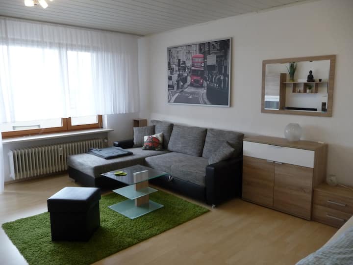 Schöne 1-zimmerwohnung 35 Qm Mit Bergsicht - Friedrichshafen
