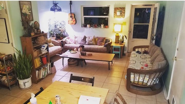 (A)vegetarian-friendly Family Home - Gainesville, FL