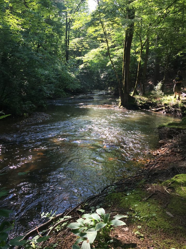 Big Frog Mountain Holiday Rentals & Homes - Tennessee, United States ...