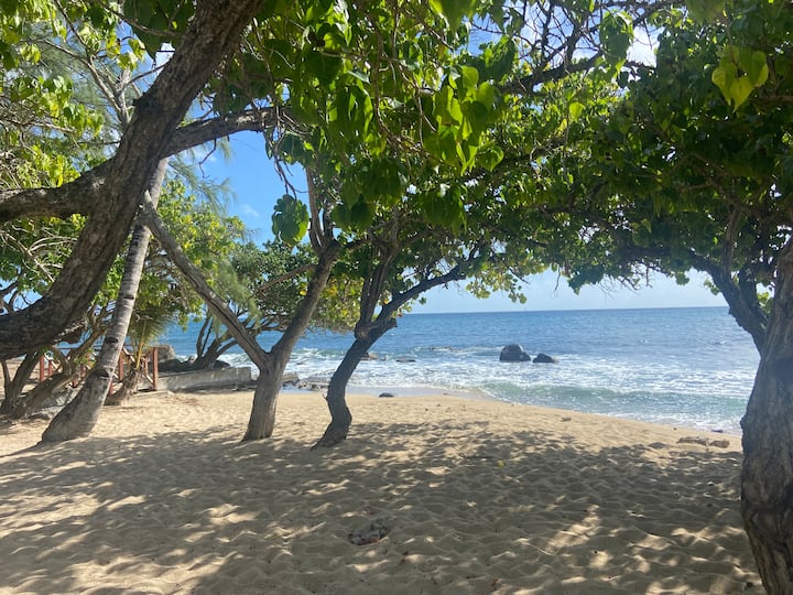 Visit The South,  1 Bed Apt Near Beaches - Martinique