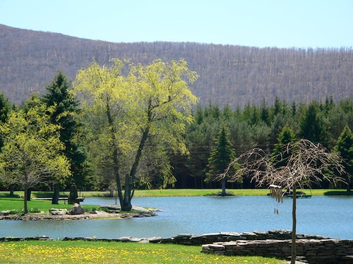 Three Bedroom Home On Stunning 114 Acre Property - Margaretville, NY