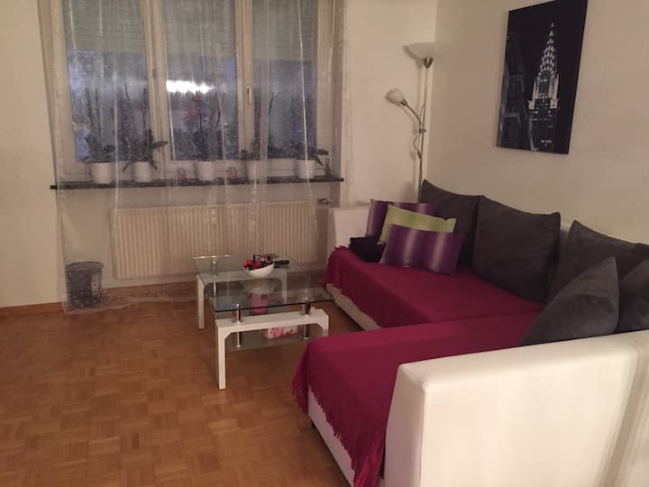Ein Schöne Suite In Der Sity Basel - Huningue