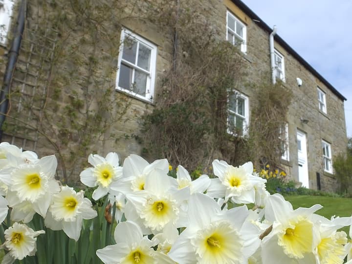 Rural Farmhouse Near Hexham - Hexham
