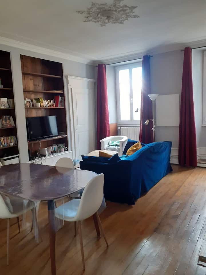 Appartement De Caractère En Centre Ville - Bonneville