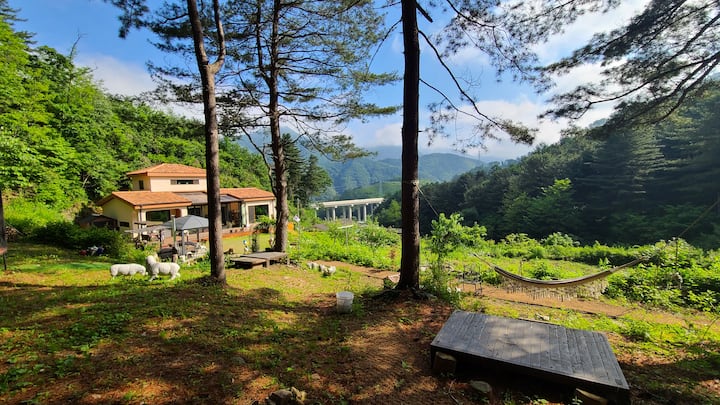 Let's Go Forest 파인숲 - 화도읍