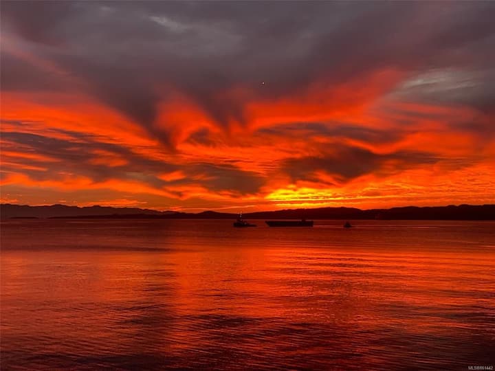 Incredible Downtown Oceanside Location + Parking - Victoria