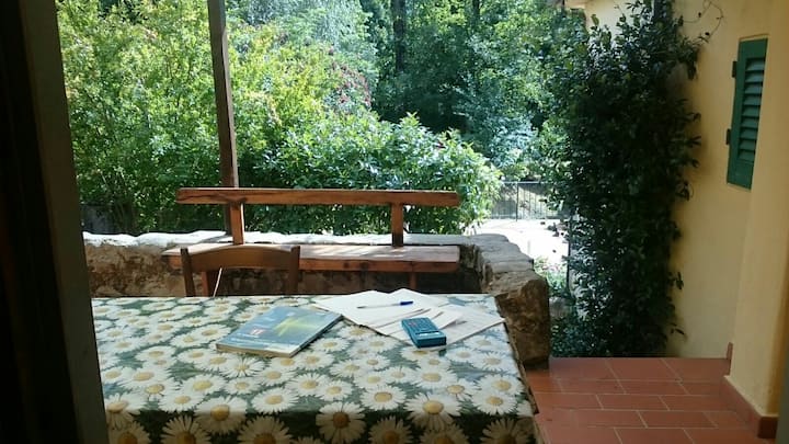 Centro Storico Con Bella Terrazza - Abetone