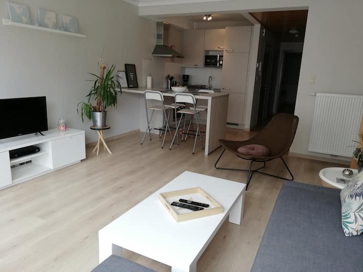 Apartment By The Sea Ostend - Ostende